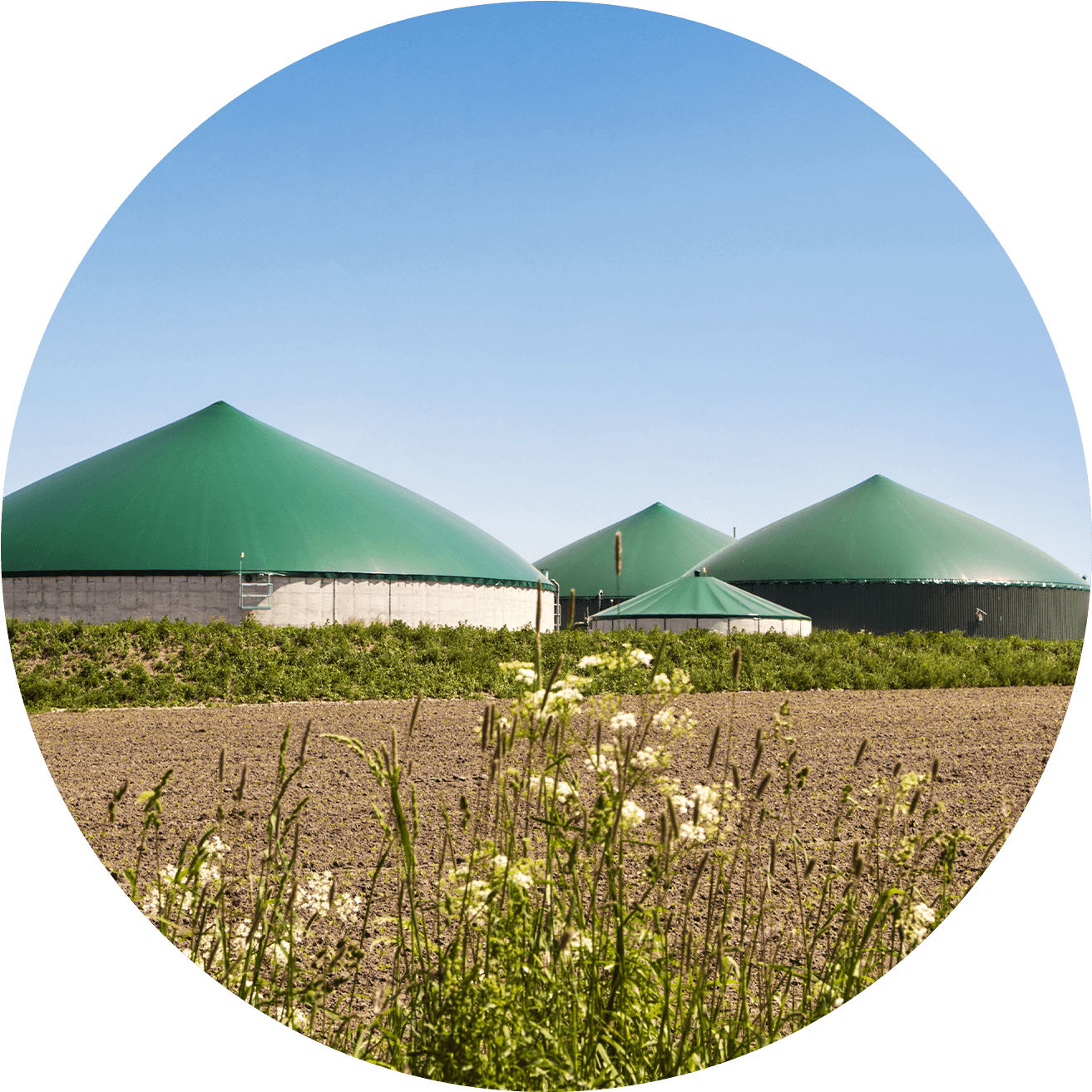 Future of Biogas Europe 2021 - bmp greengas